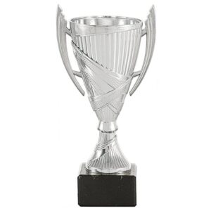 Trofeos personalizados BARATOS y premios ONLINE | RUBI5