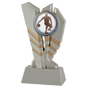 Trofeos personalizados BARATOS y premios ONLINE | RUBI5