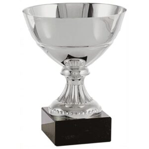 Trofeos personalizados BARATOS y premios ONLINE | RUBI5