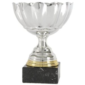 Trofeos personalizados BARATOS y premios ONLINE | RUBI5